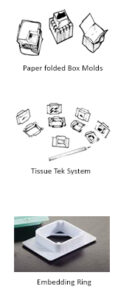 The Origin of Tissue Cassettes & Molds | Lab Storage Systems, Inc.