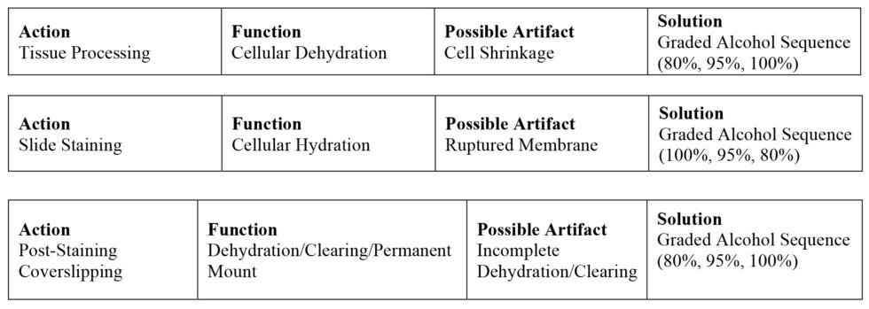 The Importance of Fluid Transfer in Tissue Staining | Lab Storage ...