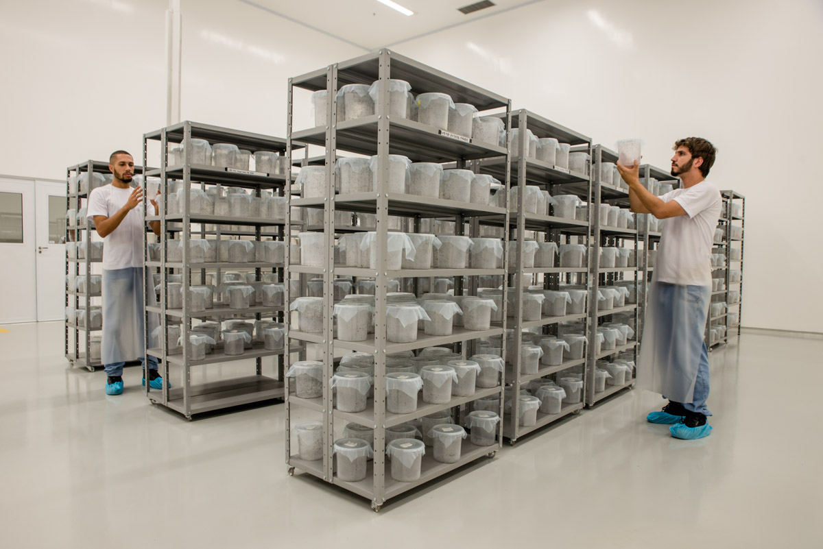 Essential Role of Safety Data Sheets in Laboratory Storage